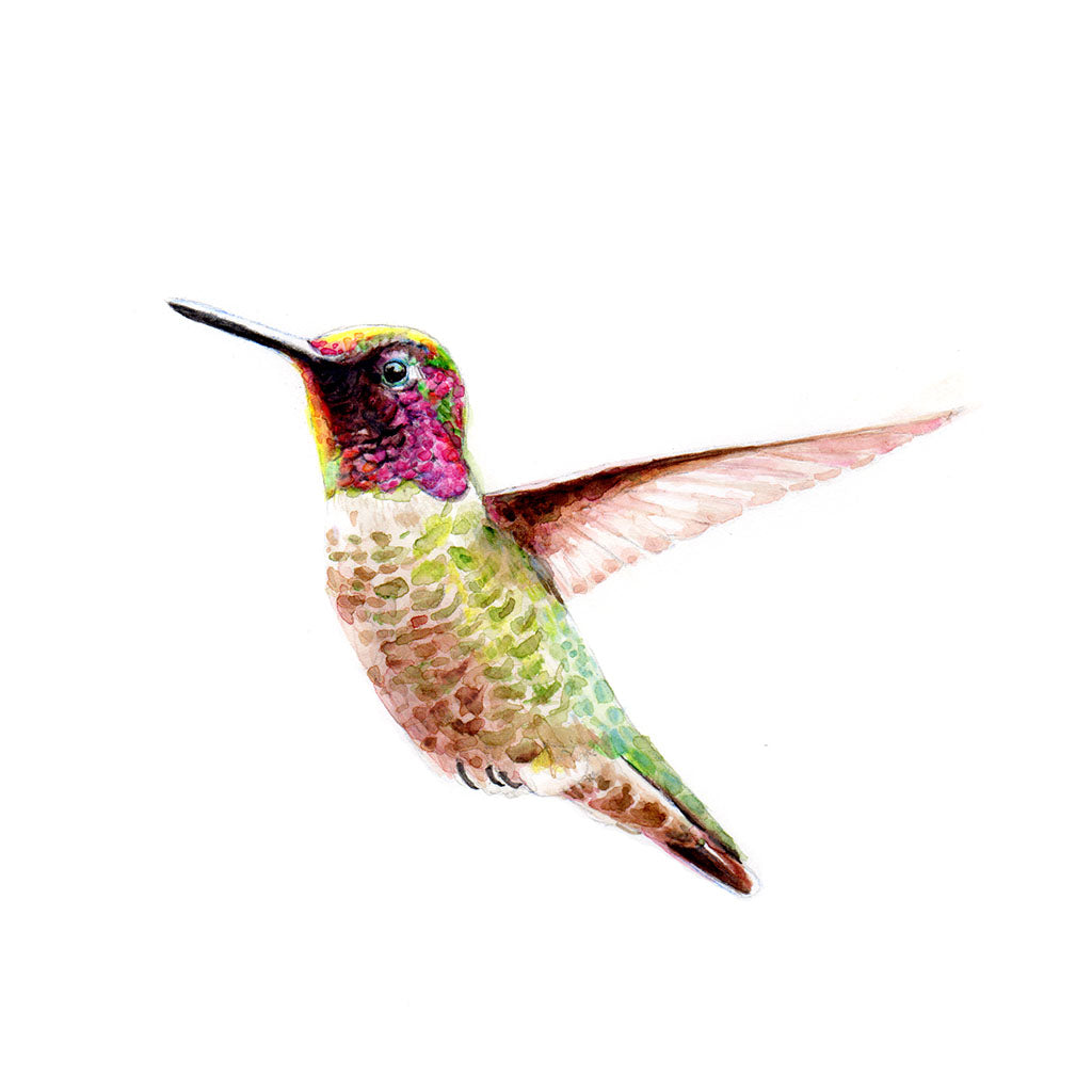 Flight of the Hummingbird – Blue Lark Designs